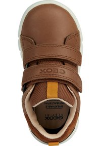 Geox B HYROO - Sneaker low - cognac - Zalando.de