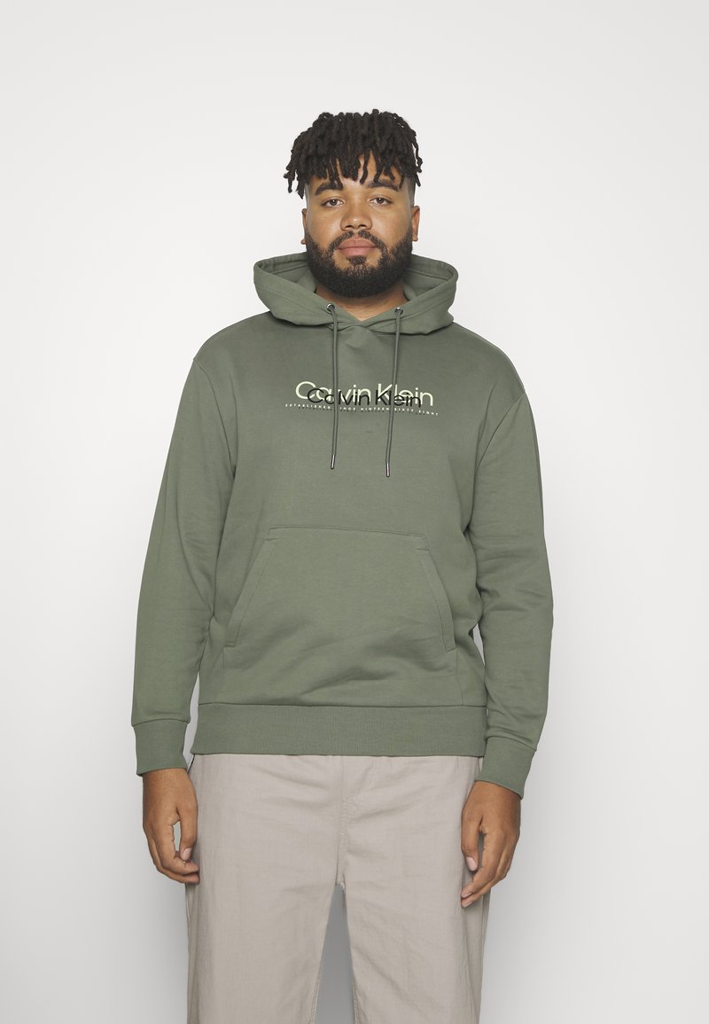 Calvin Klein DOUBLE FLOCK LOGO HOODIE - Hoodie - thyme/dark green ...
