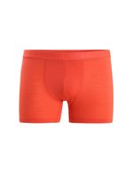 Icebreaker M ANATOMICA COOL-LITE BOXERS - Panties - vibrant earth ...