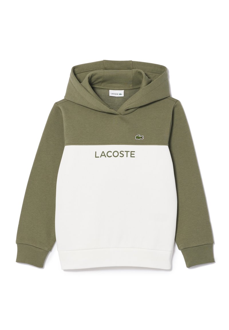Lacoste COLOR BLOCK - Jersey con capucha - vert kaki blanc cy/verde ...