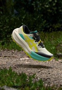 ASICS TRABUCO MAX 5 - Trail running shoes - light dust/cacti/light grey ...