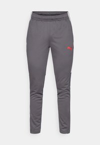 Puma INDIVIDUALLIGA TRAINING PANTS - Tracksuit bottoms - strong gray ...