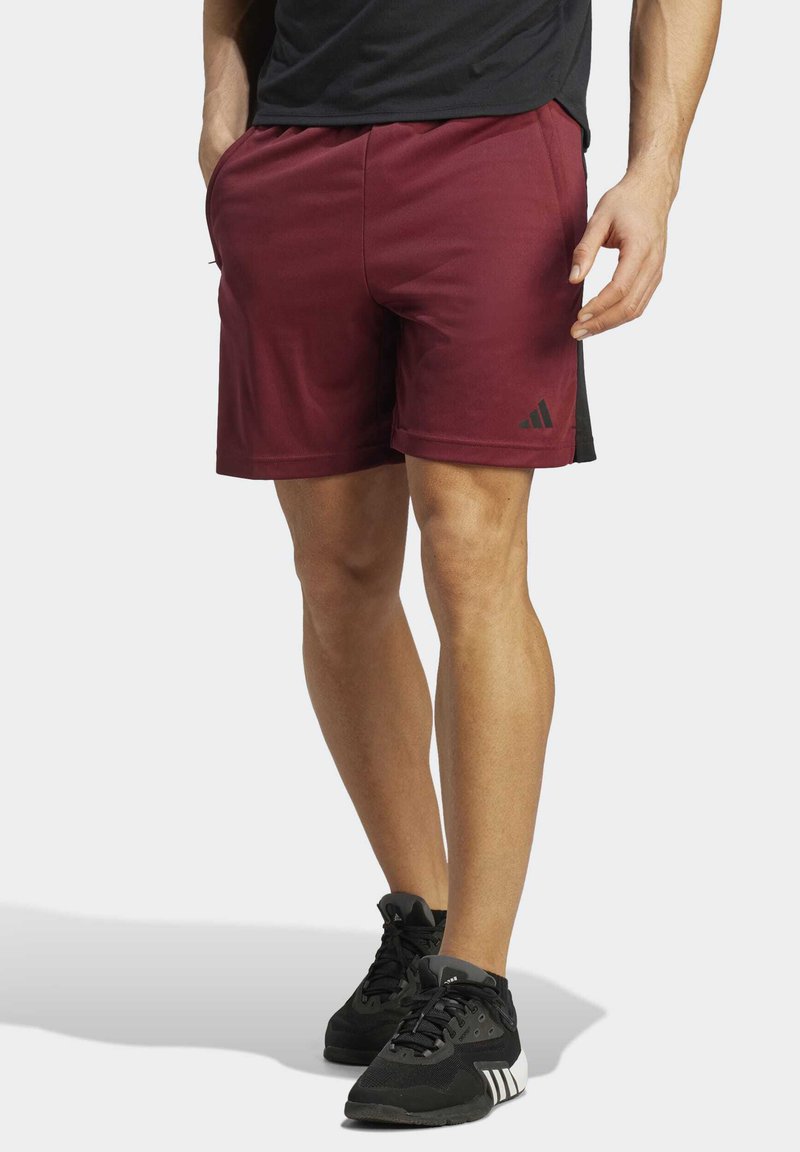 adidas Performance TRAIN ESSENTIALS - kurze Sporthose - shadow red ...