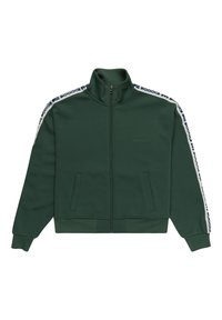 Element Bomber Jacket - green - Zalando