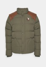 Chevignon TOGS - Daunenjacke - vert foret/dunkelgrün - Zalando.ch