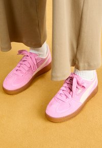 Puma PALERMO MODA XTRA - Sportcipő - mauved out/island pink/gold ...