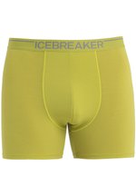 Icebreaker MERINO ANATOMICA - Culotte - BRIGHT GREEN/gris - Zalando.es