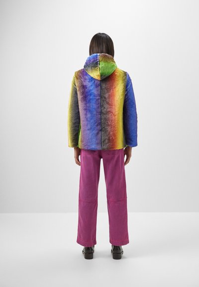 AGR UNISEX GRADIENT JACKET - Winterjacke - multi/mehrfarbig - Zalando.ch