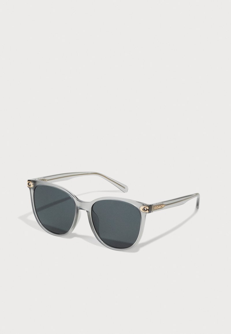 COACH CW428 - Sunglasses - transparent dove/transparent - Zalando.co.uk