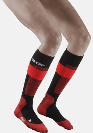CEP COMPRESSION THE RUN - Kniekousen - petrol dark red/blauw - Zalando.be
