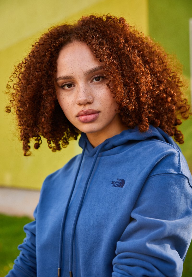 The North Face CITY STANDARD HOODIE - Sweatshirt - shady blue/blue ...