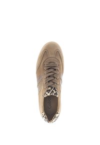 Gabor LOW - Trainers - peanut cognac/brown - Zalando