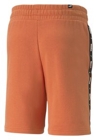 Puma Pantalón corto de deporte - chili powder/naranja - Zalando.es