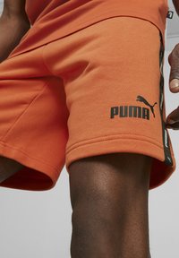 Puma Pantalón corto de deporte - chili powder/naranja - Zalando.es