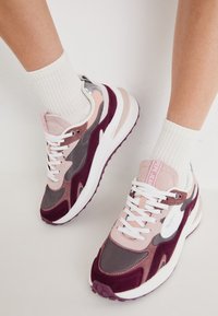 Pepe Jeans WINSLOW URBAN - Trainers - berry purple/berry - Zalando