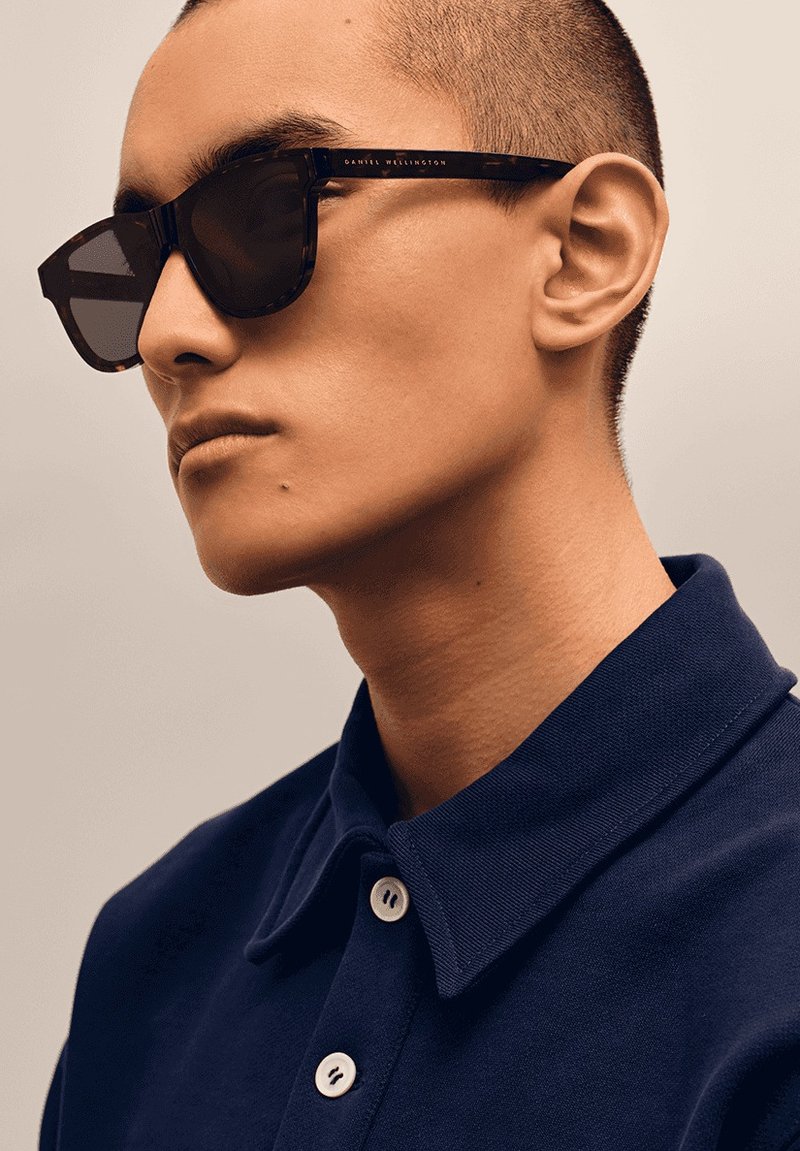 Daniel Wellington AMBLER - Päikeseprillid - dark havana/pruun - Zalando.ee