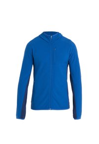Icebreaker MERINO DESCENDER ZIP HOOD - Trainingsvest - BRIGHT BLUE ...