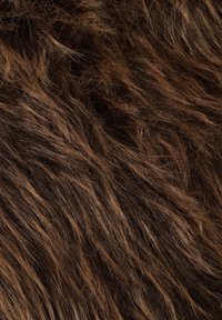 Nukus LORI - Winter jacket - fango/brown - Zalando