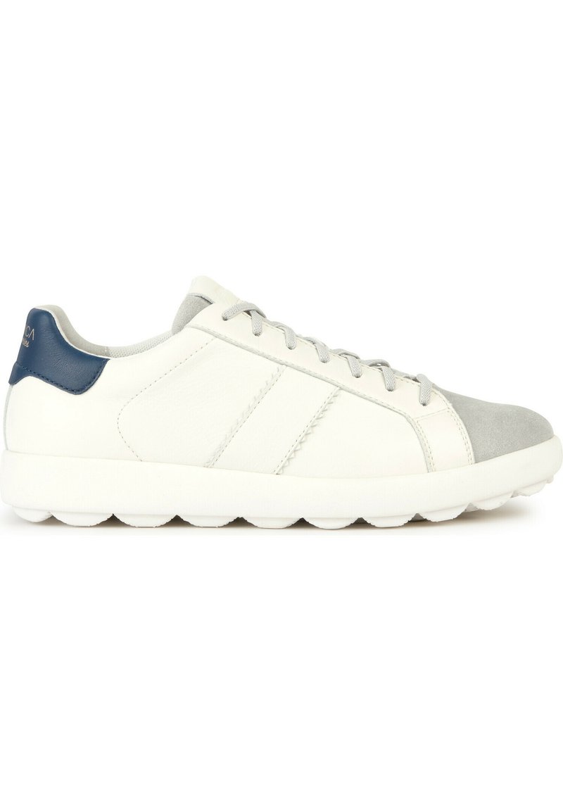 Geox U SPHERICA VS EC4 - Sneaker low - white light grey/weiß - Zalando.de