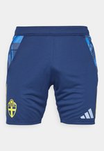 adidas Performance SWEDEN SVFF TRAINING SHORT - Sports shorts - team ...