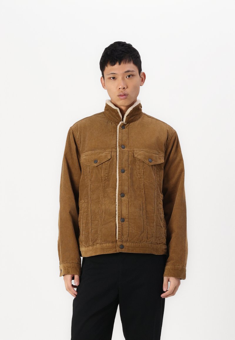 GAP ICON JACKET - Winter jacket - brown - Zalando