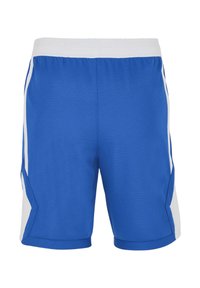 Jordan JORDAN TM25 BASKETBALL STOCK SHORT INDOOR - TEXTILIEN - Sports ...