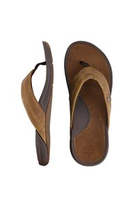 Reef PACIFIC LE - Zehentrenner - brown/braun - Zalando.de