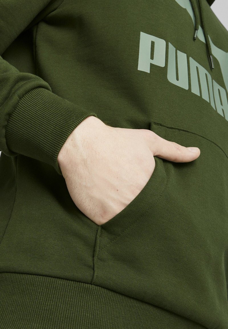 Puma LOGO - Sweat à capuche - myrtle/vert - ZALANDO.FR