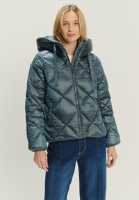 Greenpoint Winter jacket - green - Zalando