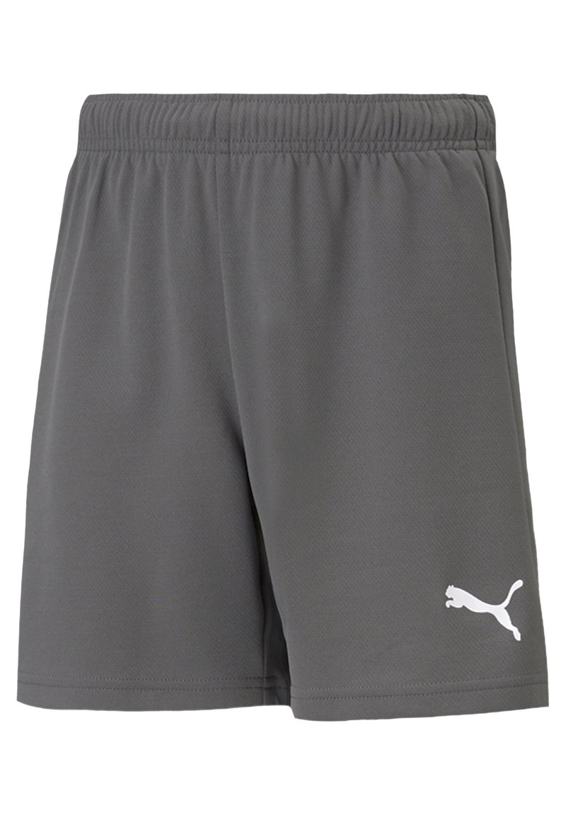 Puma TEAMRISE MAND - Sports shorts - grauweiss/grey - Zalando
