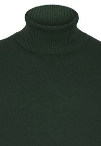 Felix Hardy TURTLENECK PACK OF 2 - Maglione - dark green/verde scuro ...