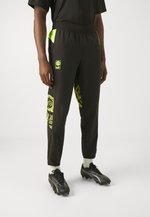 Puma BVB BORUSSIA DORTMUND FTBLNRGY PANTS - Jogginghose - puma black ...