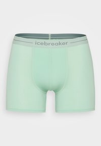 icebreaker MEN ANATOMICA - Pants - bright green/green - Zalando