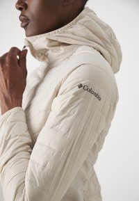 Columbia POWDER LITE LIGHT HOODED JACKET - Outdoorjakke - dark stone ...