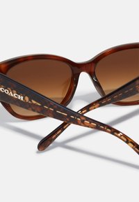 COACH Solbriller - caramel tortoise/brun - Zalando.dk