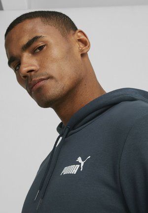 Puma DOWNTOWN LOGO - Kapuzenpullover - desert clay/beige - Zalando.ch