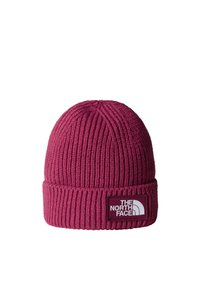 The North Face TNF LOGO BOX CUFFED - Mütze - cyber berry boysenberry ...