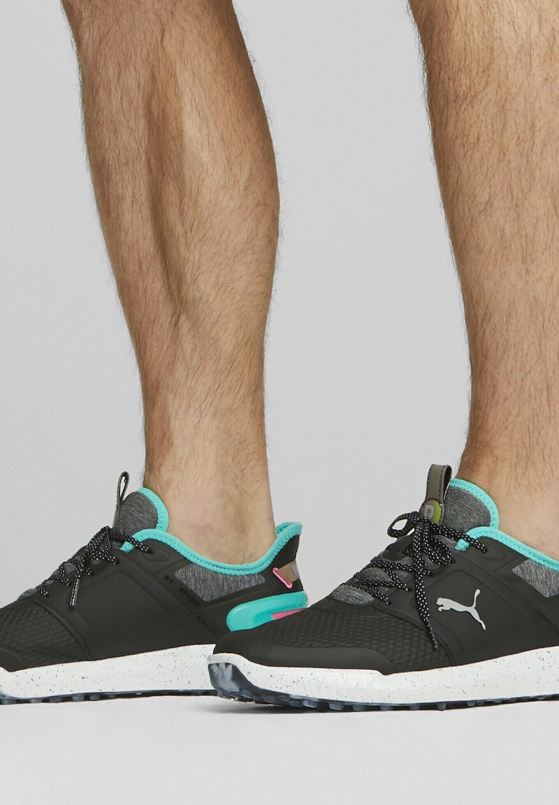 Puma Golf IGNITE ELEVATE - Golf shoes - black aqua green shocking pink ...