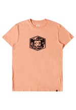 DC Shoes CHAIN LINK - FÜR - T-Shirt print - coral/koralle - Zalando.de