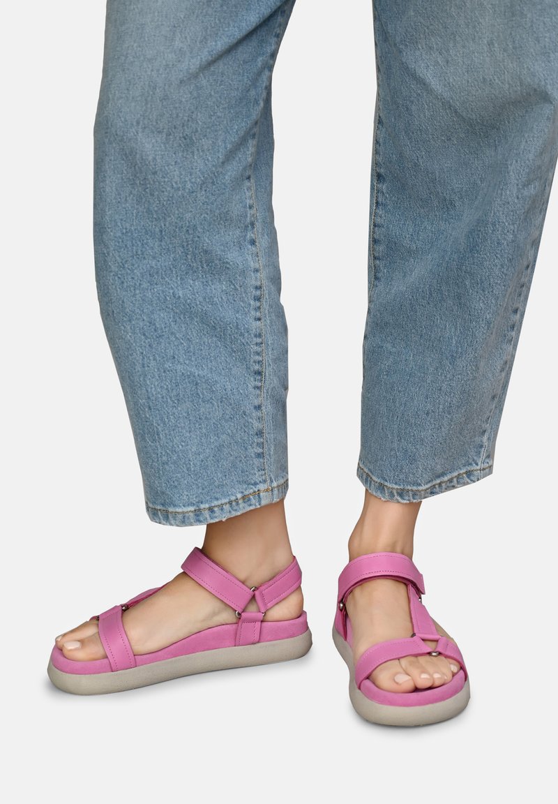 Crickit JESKE - Sandales à plateforme - pink/rose - ZALANDO.BE