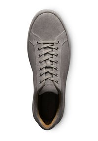 Allen Edmonds BARNES - Baskets basses - piombo grey suede/gris - ZALANDO