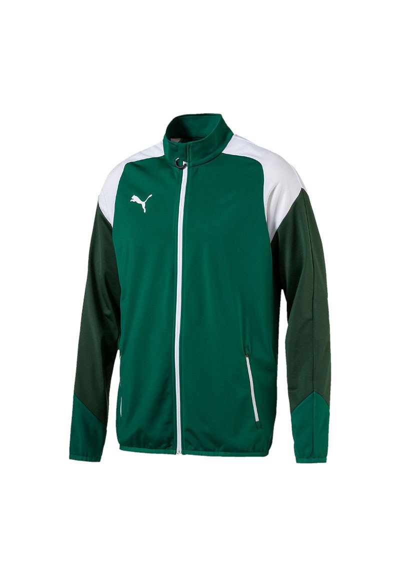 Puma ESITO 4 POLY TRICOT - Trainingsjacke - gruenweiss/grün - Zalando.de