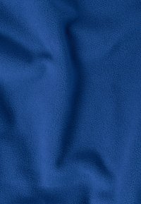 Jack Wolfskin FIND THE WILD CREWNECK - Fleece jumper - blue orchid/blue ...