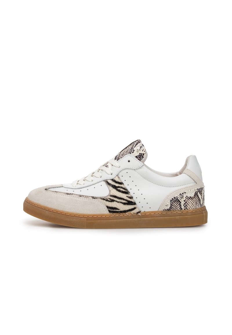 Floris van Bommel Zapatillas - white/blanco - Zalando.es