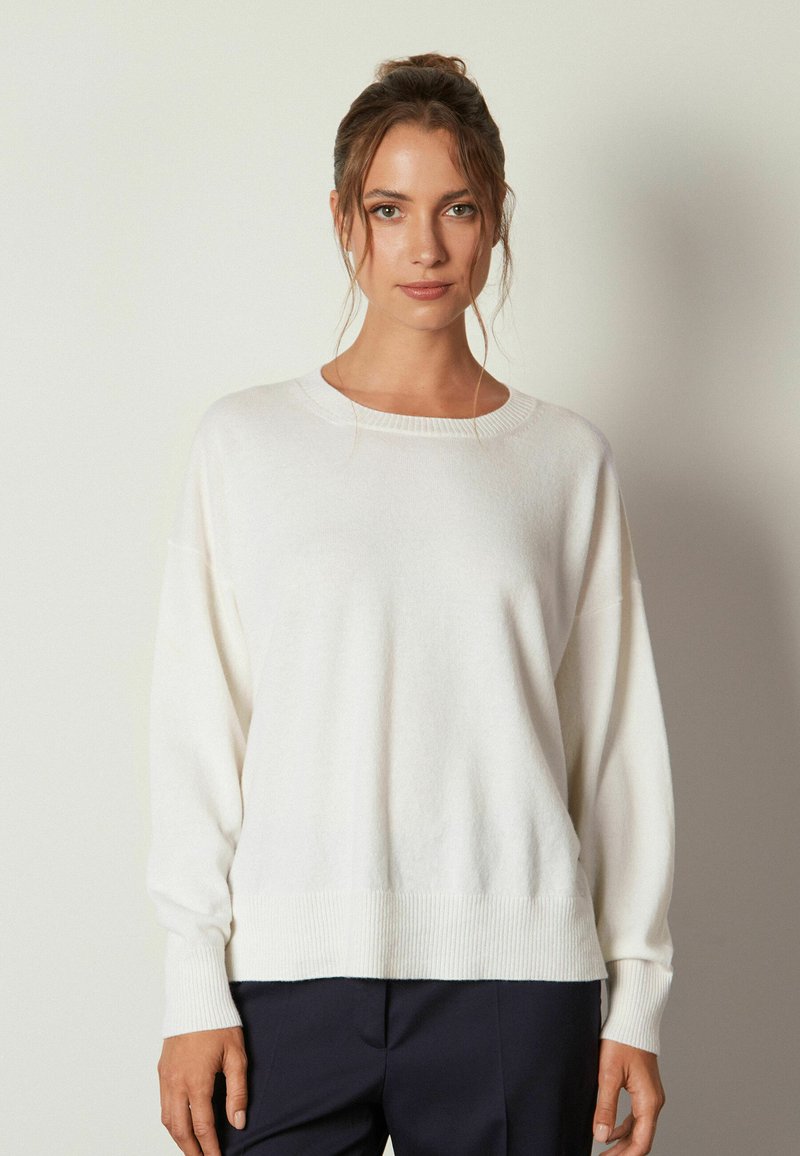 Xenocyon Falconeri Rome