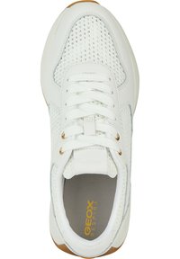 Geox Sneakers laag - white/wit - Zalando.nl