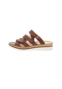 Fidelio GLORY - Pantolette flach - braun - Zalando.de