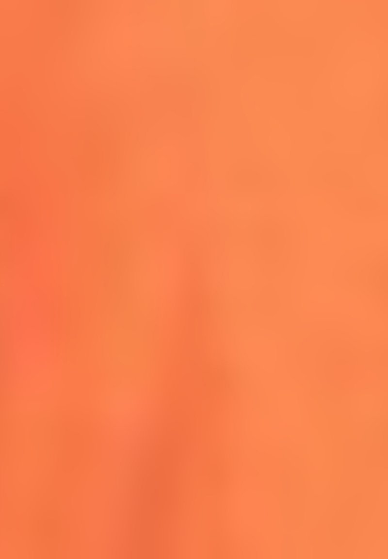 What Color Lipstick With Burnt Orange Shirt | Lipstutorial.org