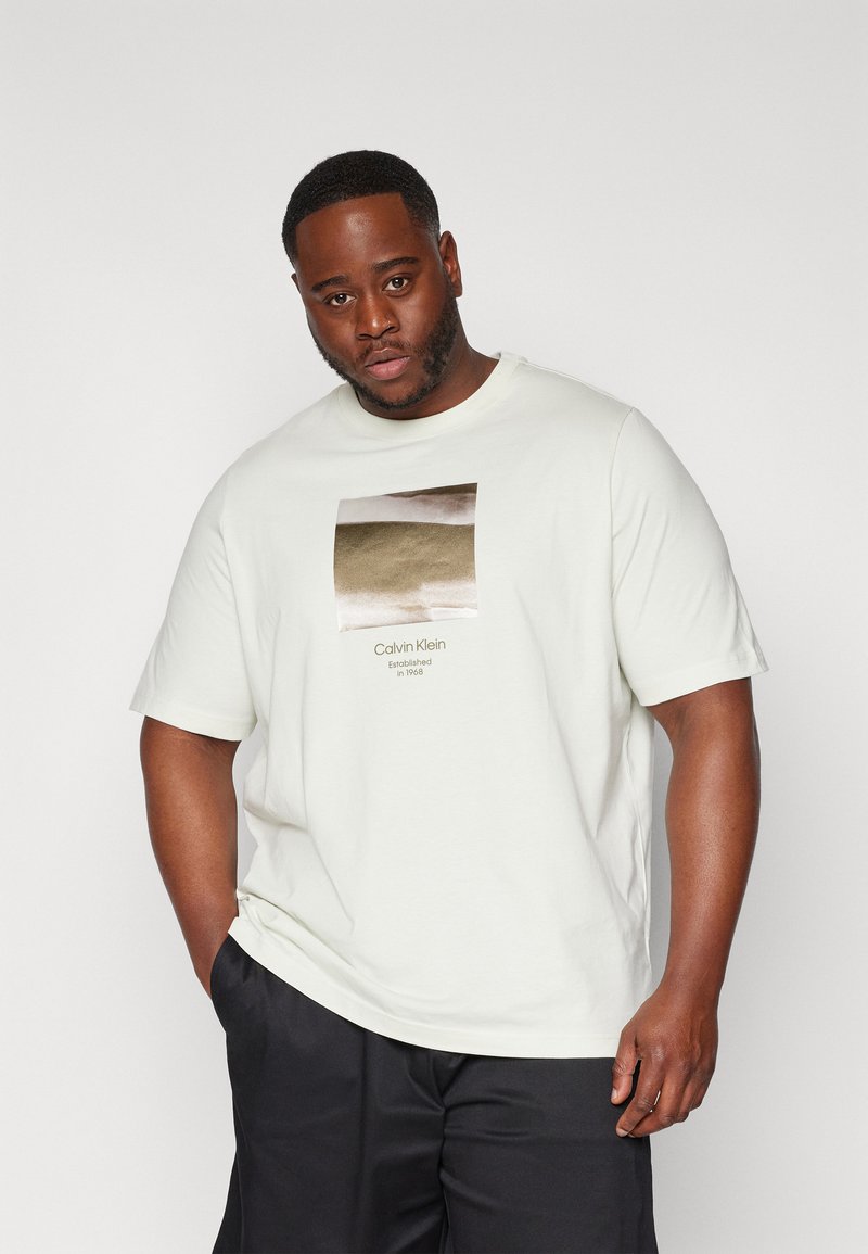 Calvin Klein DIFFUSED GRAPHIC - Print T-shirt - icicle/off-white ...