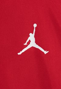 Verwunderlich Air Jordan Trainingsanzug Ebenbild